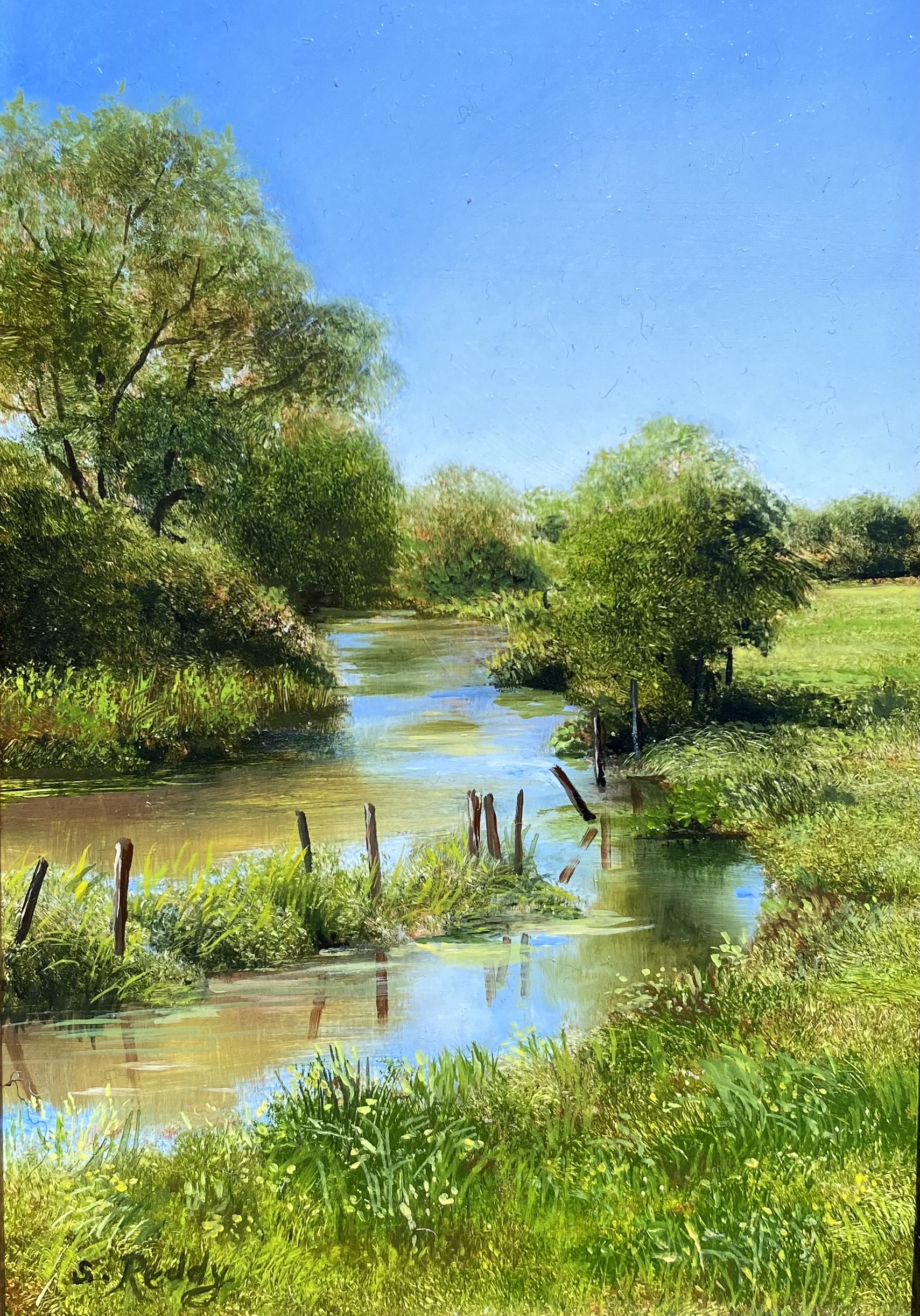 Sheila Reddy Artist Profile - Ayot Art Show